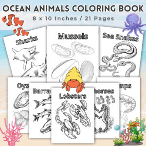 Ocean Animals Coloring Pages / Sheets of Ocean Animals Clipart ...